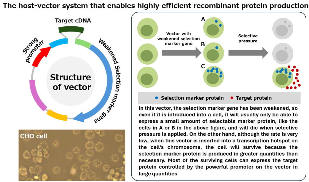 Institute for Vaccine Research and Development(IVReD), Institute for ...